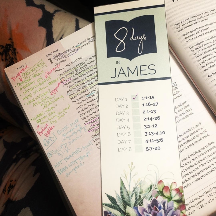 The Best Study Bible - Katie Orr